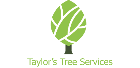 Tree Surgeon in Sandy, Bedfordshire | Taylor’s Tree Services